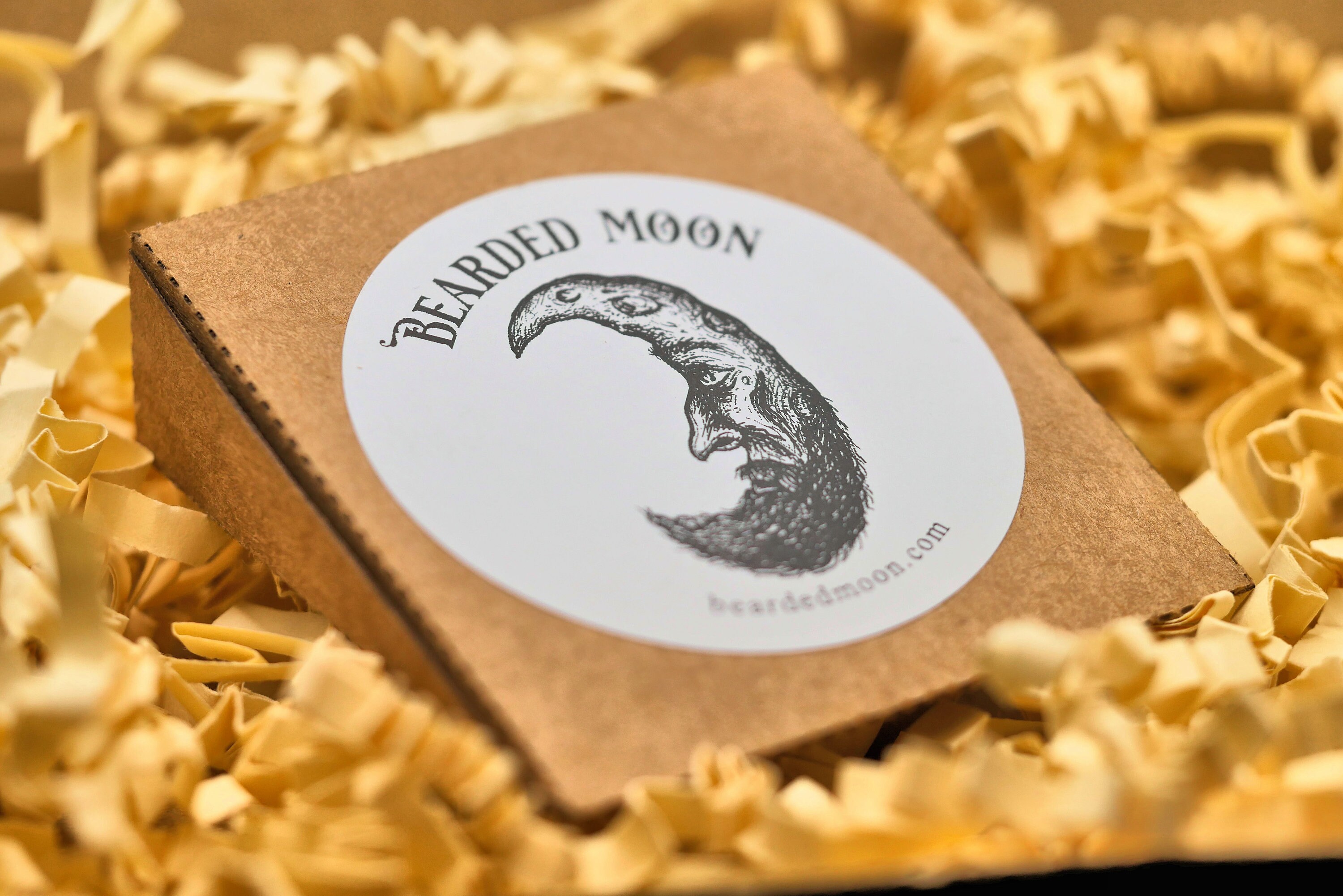 Robin Brooch / Hand Painted Robin Pin - Etsy UK