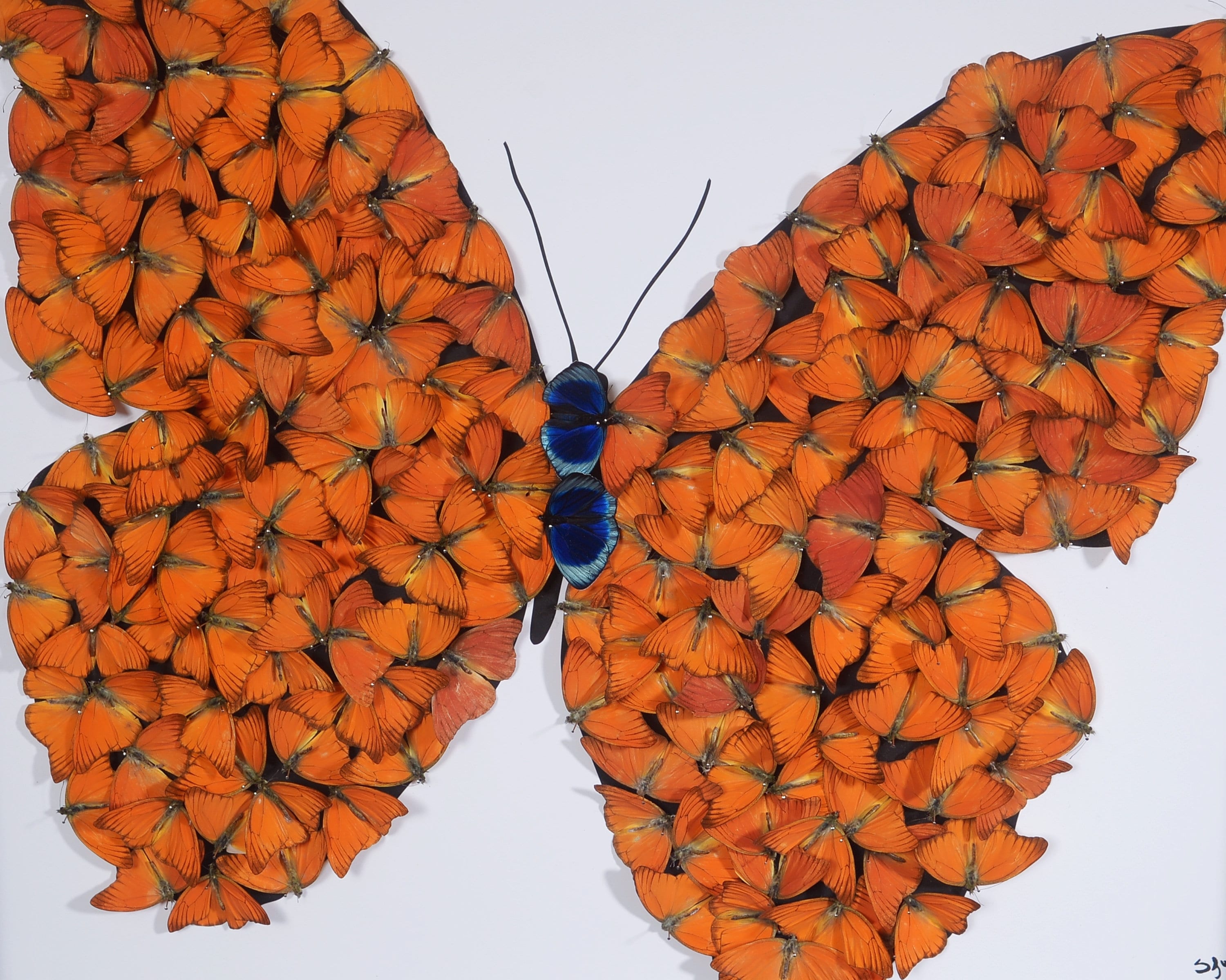 Portrait of a Butterfly (handmade One-of-a-kind) Original Made With ...