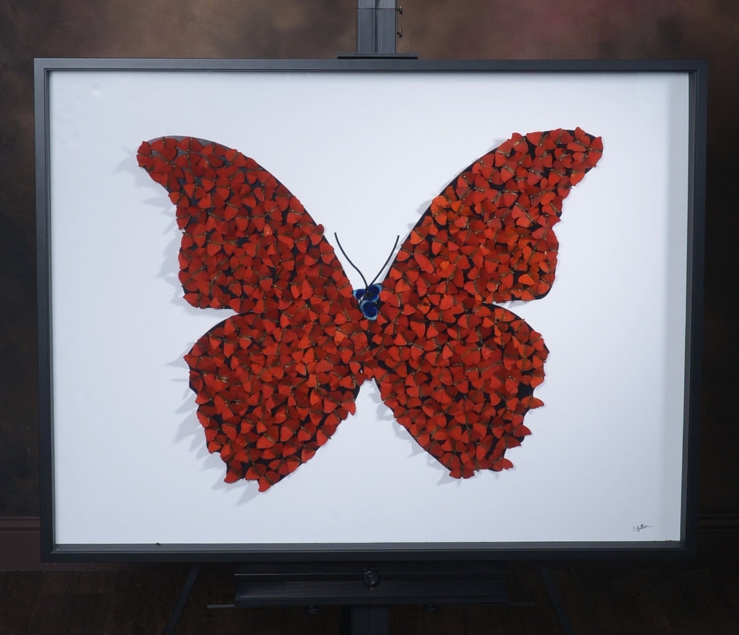 The Butterfly Effect (handmade One-of-a-kind) Original Made With Real ...