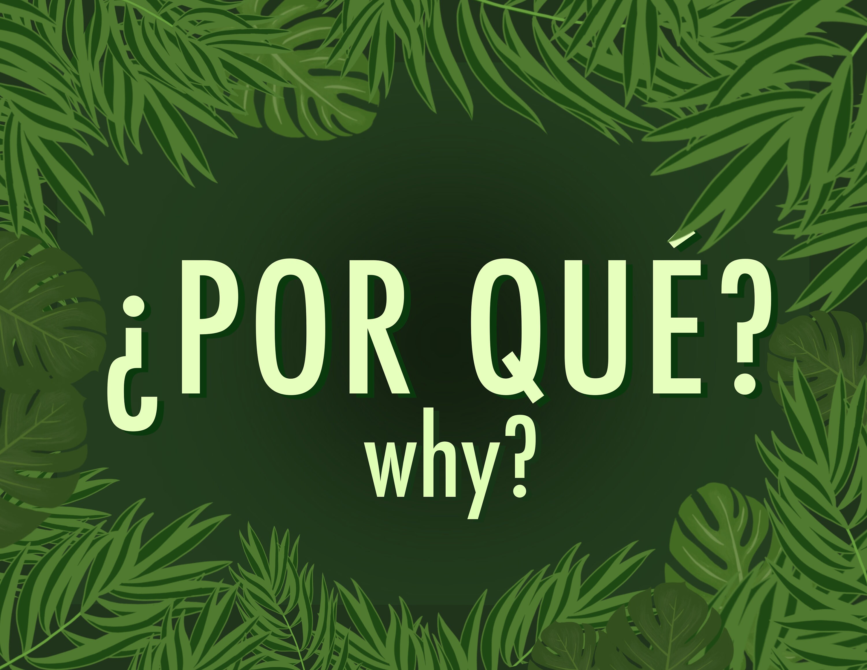 Spanish Question Words Poster Set (with English Translations ...