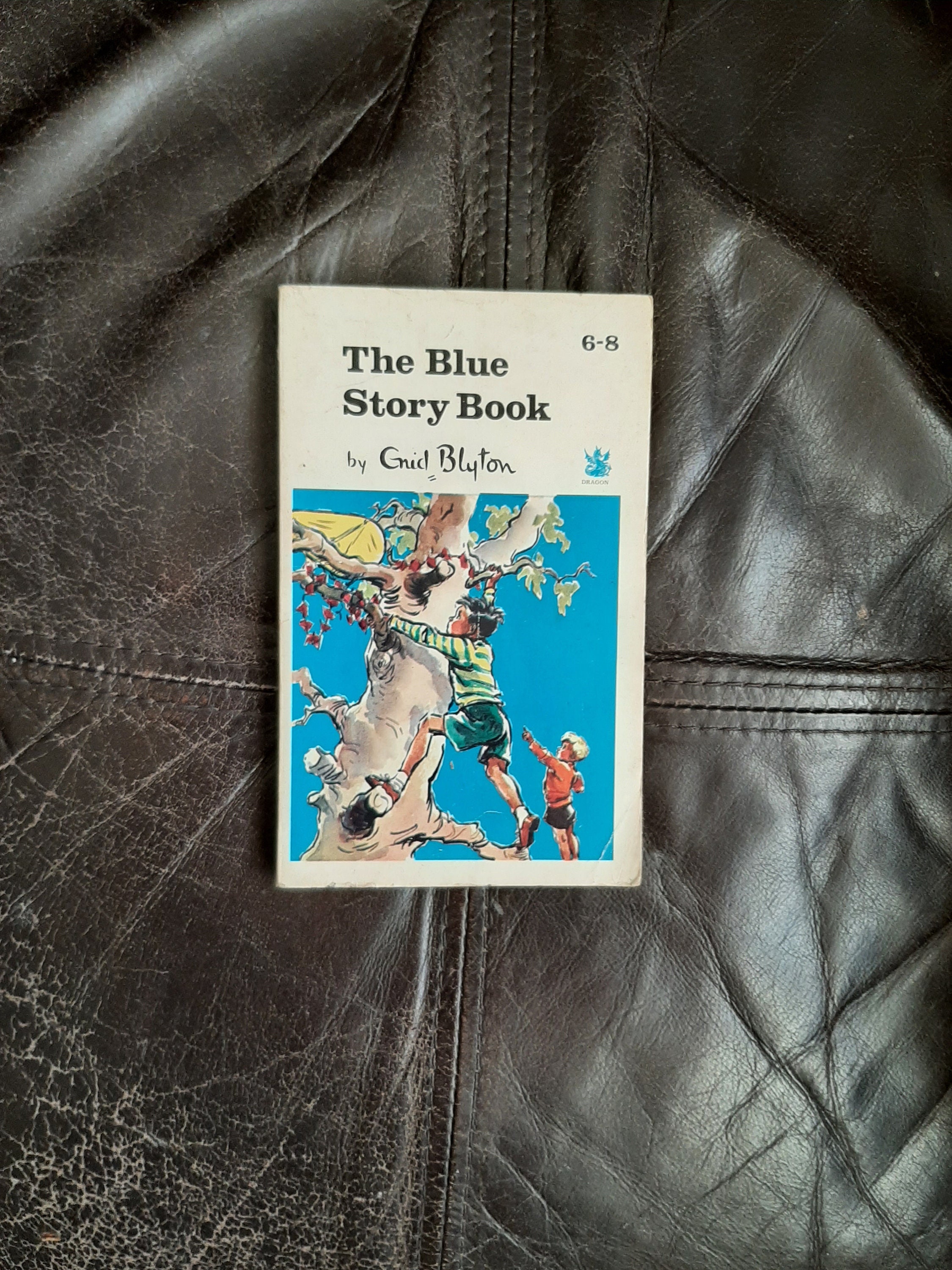 El libro de cuentos azul de Enid Blyton - Etsy España