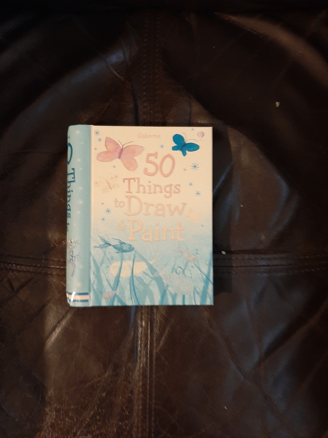 50 Things to Draw and Paint Spiral-back MINT - Etsy