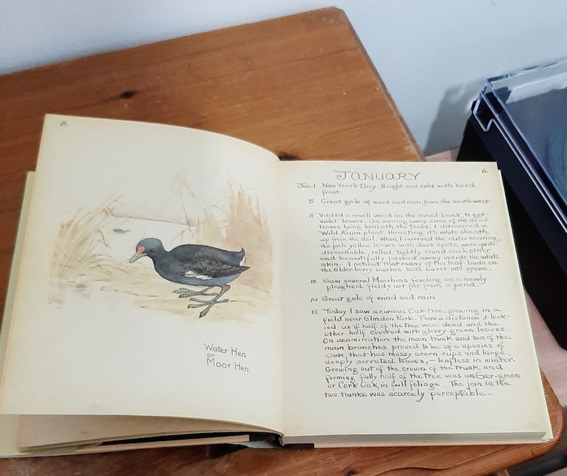 The Country Diary of an Edwardian Lady by Edith Holden ( COLLECTABLE ...