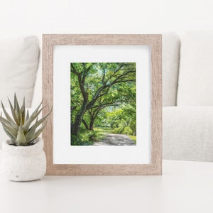Longview Arboretum Art Print Arboreal Natures Symphony Celebrating the ...