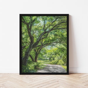 Longview Arboretum Art Print Arboreal Natures Symphony Celebrating the ...