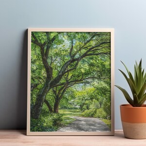 Longview Arboretum Art Print Arboreal Natures Symphony Celebrating the ...