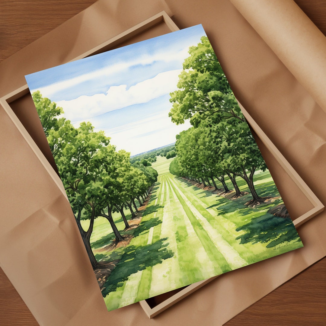 Texan Pecan Groves Orchard Art Print Celebrating the Serenity of ...