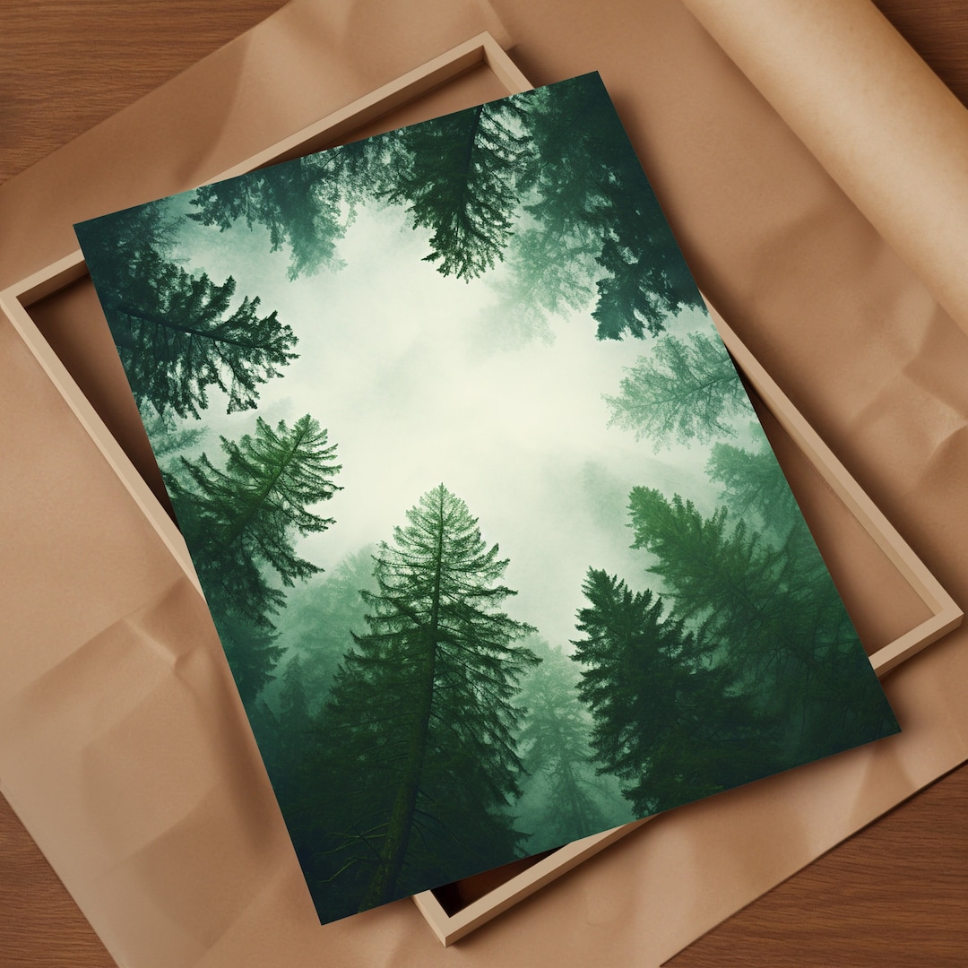 Washington State Forest Adventures Wall Art Print Contemporary Green ...