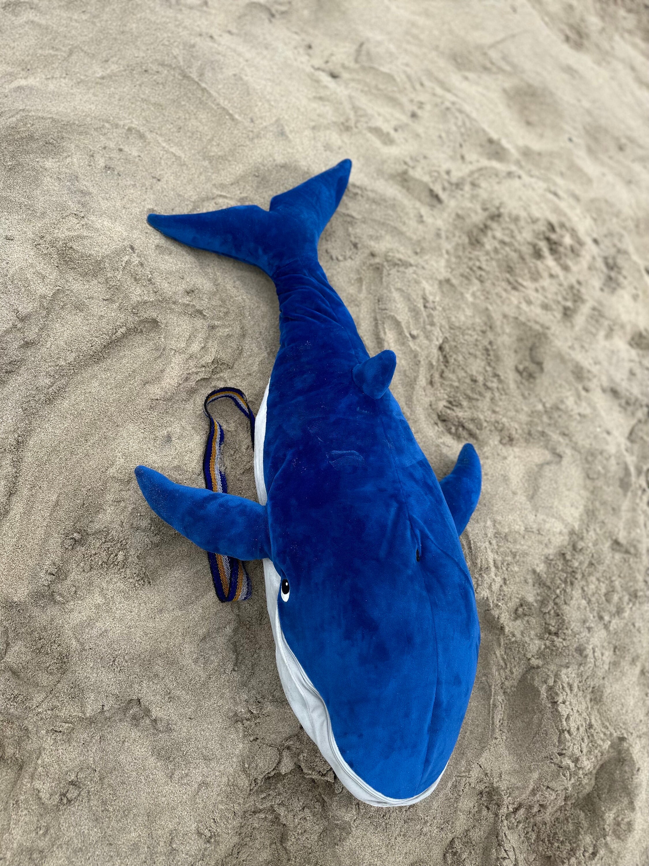 Cute Whale Plushie Backpack, Unique Adjustable Spacious Backpack, Large ...