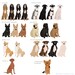 Be the Person Your Dog Thinks You Are Digital Download Custom Pet Art ...