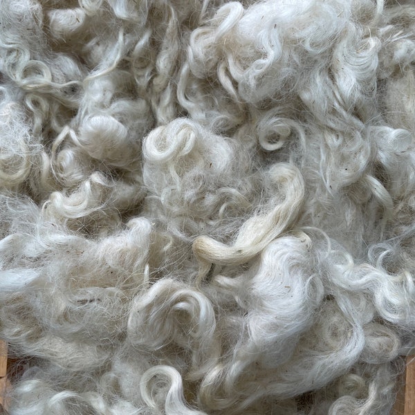 Wool Locks - Etsy