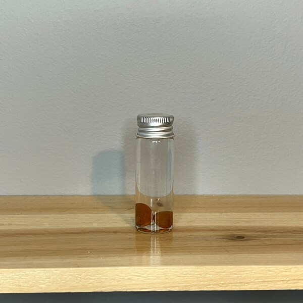 Wet Specimen - Etsy