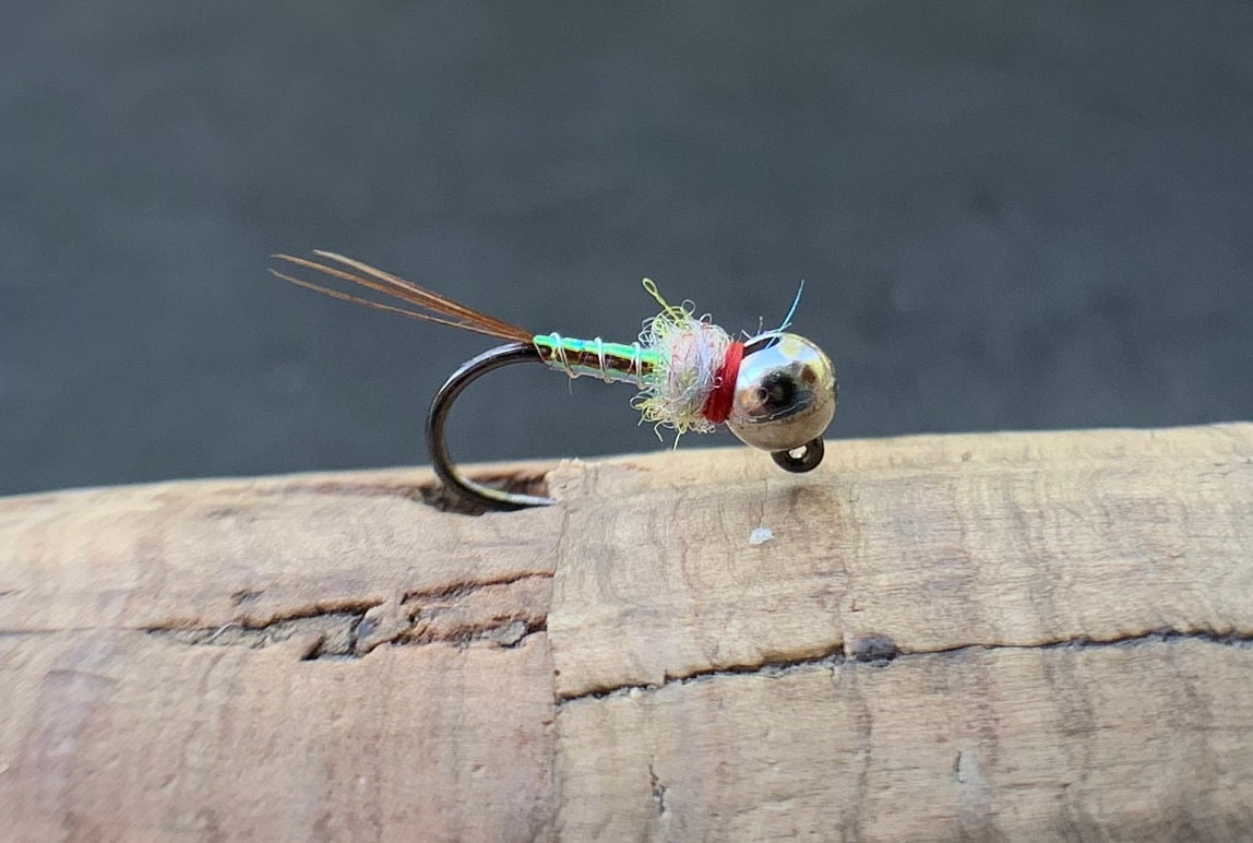 4pc Rainbow Warrior Black Dubbing Perdigon Tungsten Euro Jig Nymph Size ...