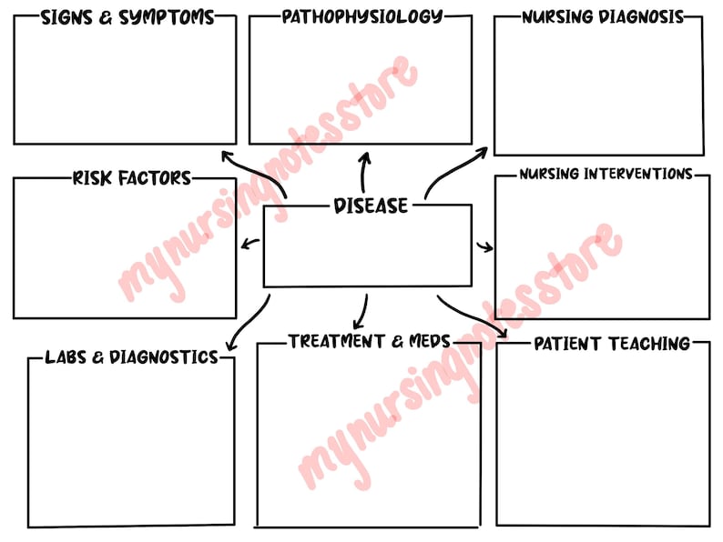 Nursing Concept Map - Etsy