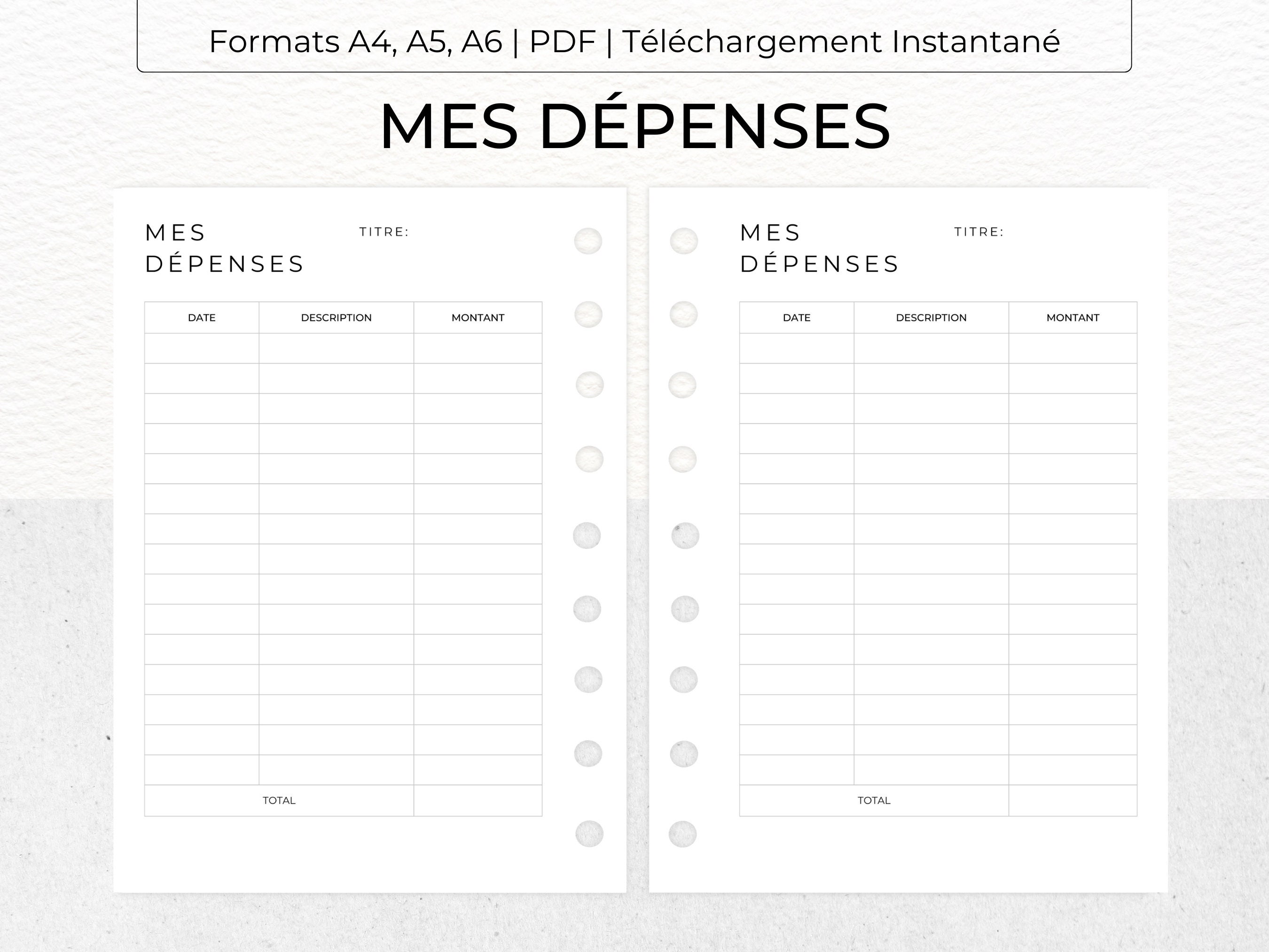 French EXPENSE TRACKER Sheet French Expense Tracker, to Print, French ...