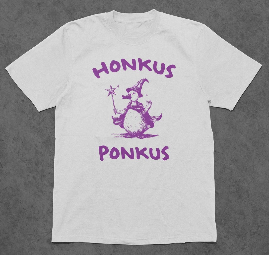 Funny Wizard Goose T-shirt, Retro Magic Tee, Quirky Witchy Animal Shirt ...