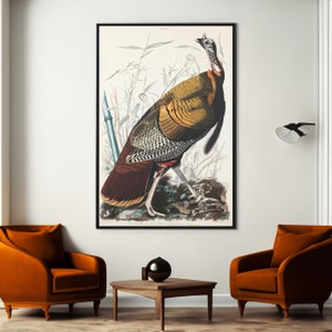 John James Audubon Wild Turkey Canvas/poster Wall Art Reproduction ...