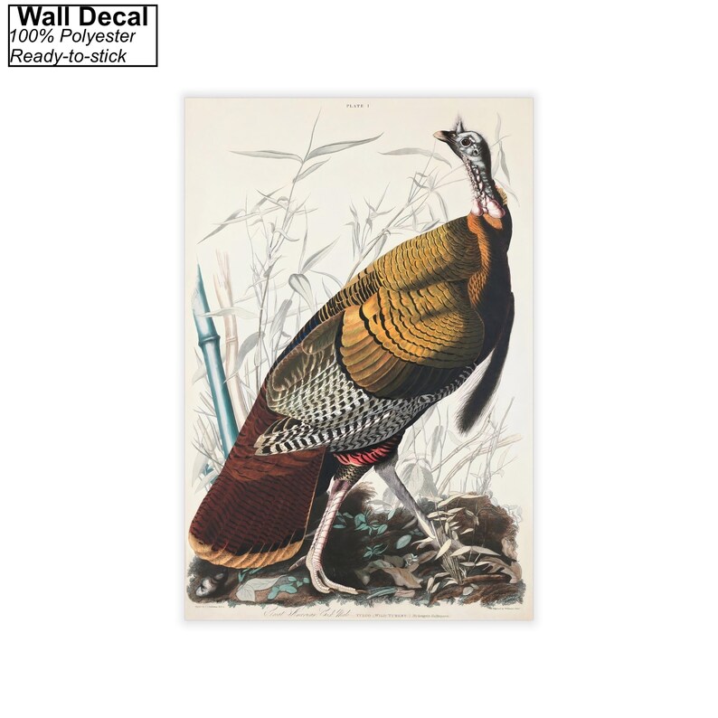 John James Audubon Wild Turkey Canvas/poster Wall Art Reproduction ...