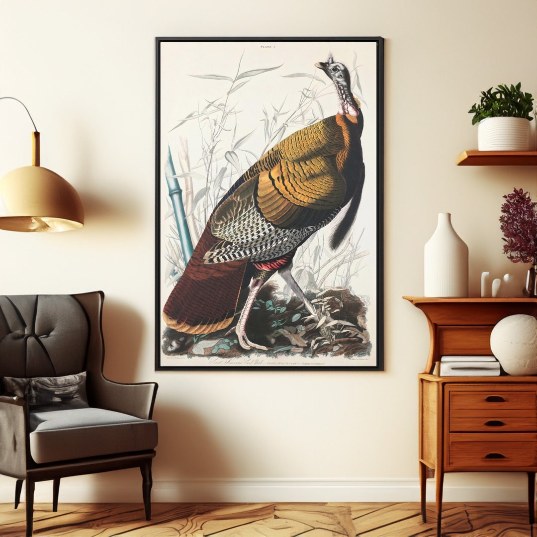 John James Audubon Wild Turkey Canvas/poster Wall Art Reproduction ...
