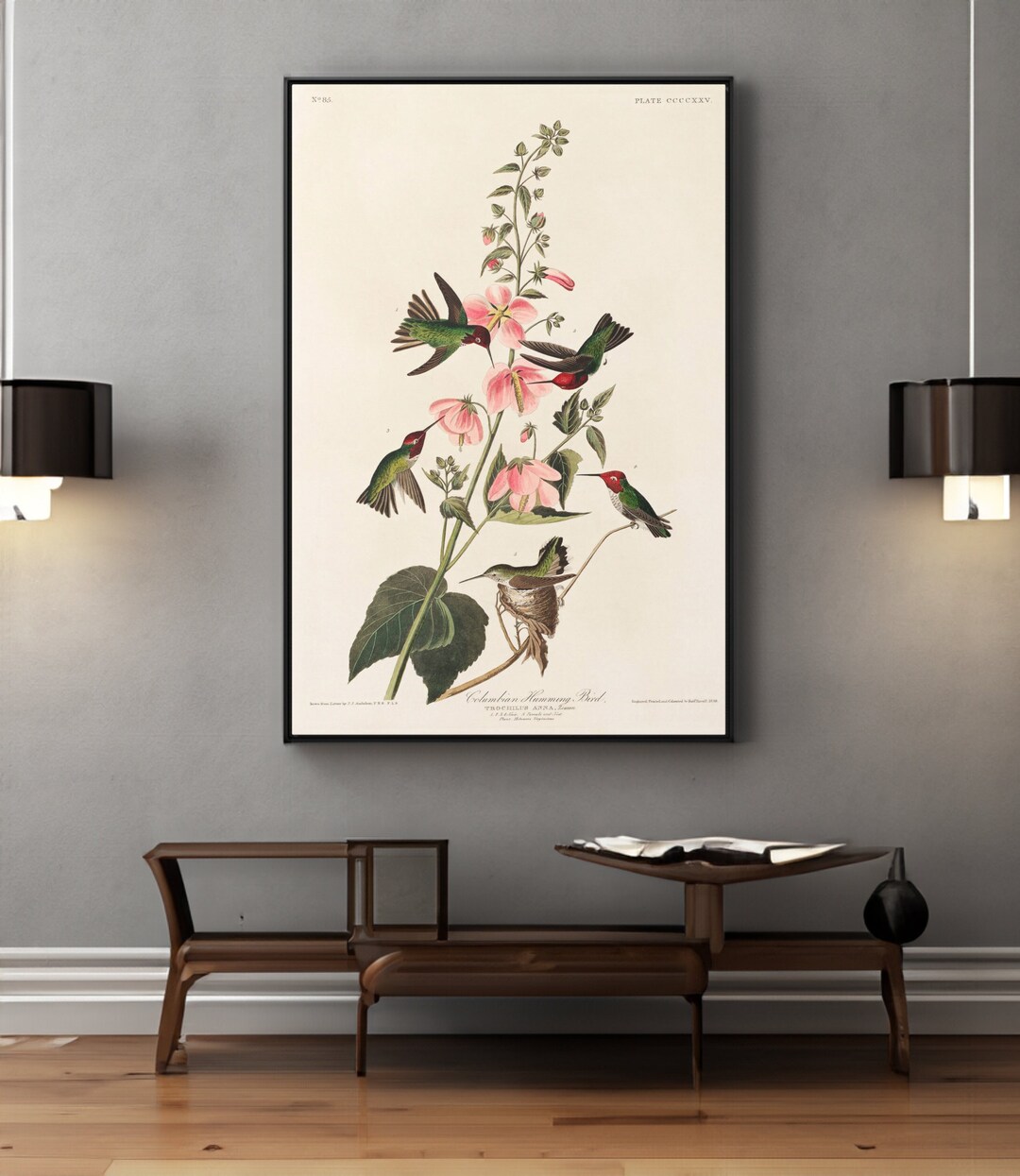 John James Audubon Hummingbird Canvas/poster Wall Art Reproduction ...