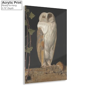 The White Owl by William James Webbe Canvas Wall Art Reproduction, Bird ...