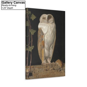 The White Owl by William James Webbe Canvas Wall Art Reproduction, Bird ...