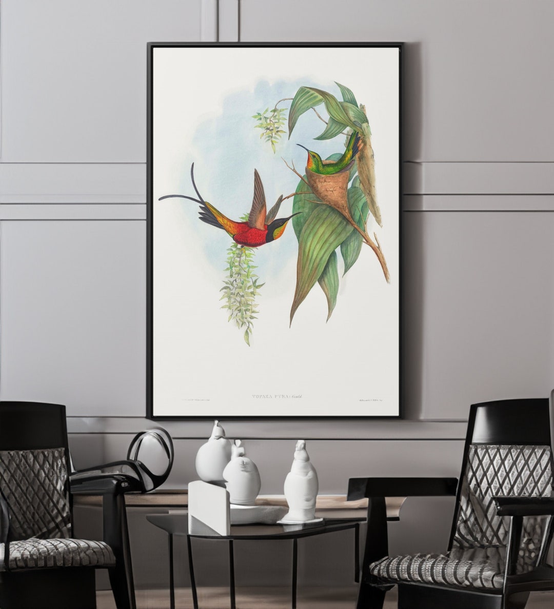 John Gould Hummingbird Art: Vintage Ornithology Poster, Framed Canvas ...