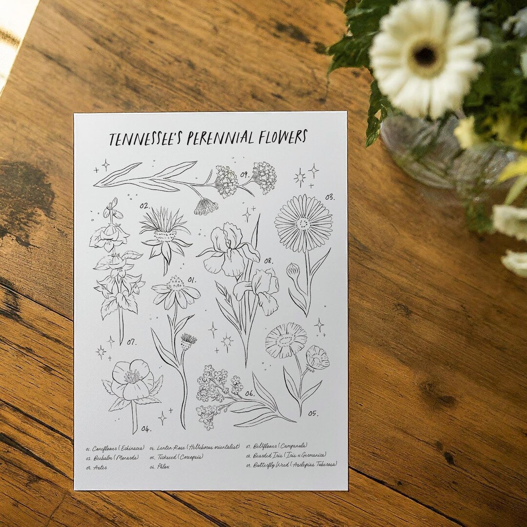 Printable Educational Flower Coloring Sheet | Flower Printable Color ...