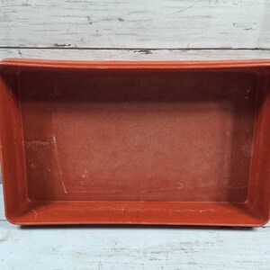 Vintage Tupperware 794-2 Bacon Deli Meat Keeper Container Paprika/sheer ...