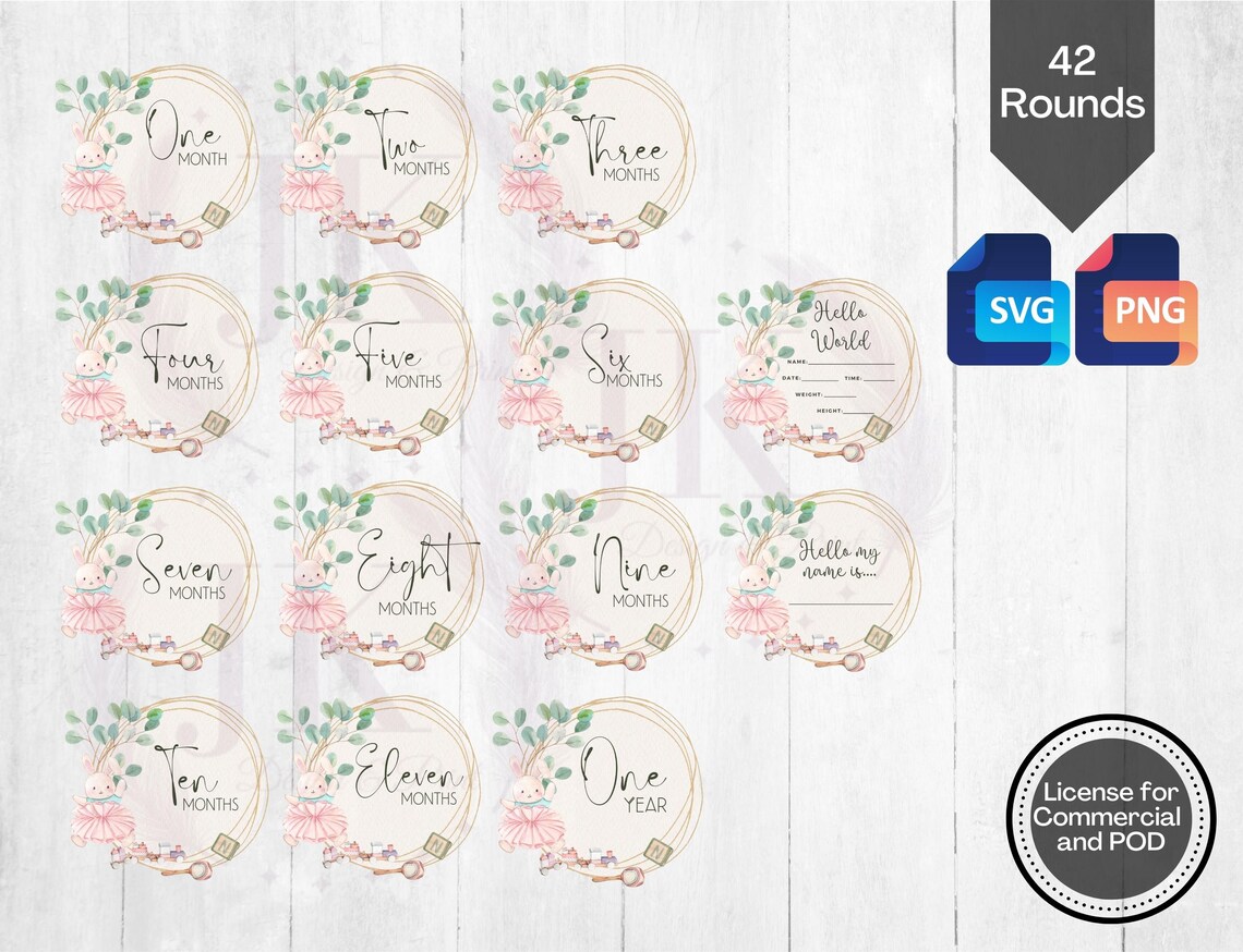 Baby Milestone Rounds SVG, Baby Announcement PNG, Hello World SVG ...