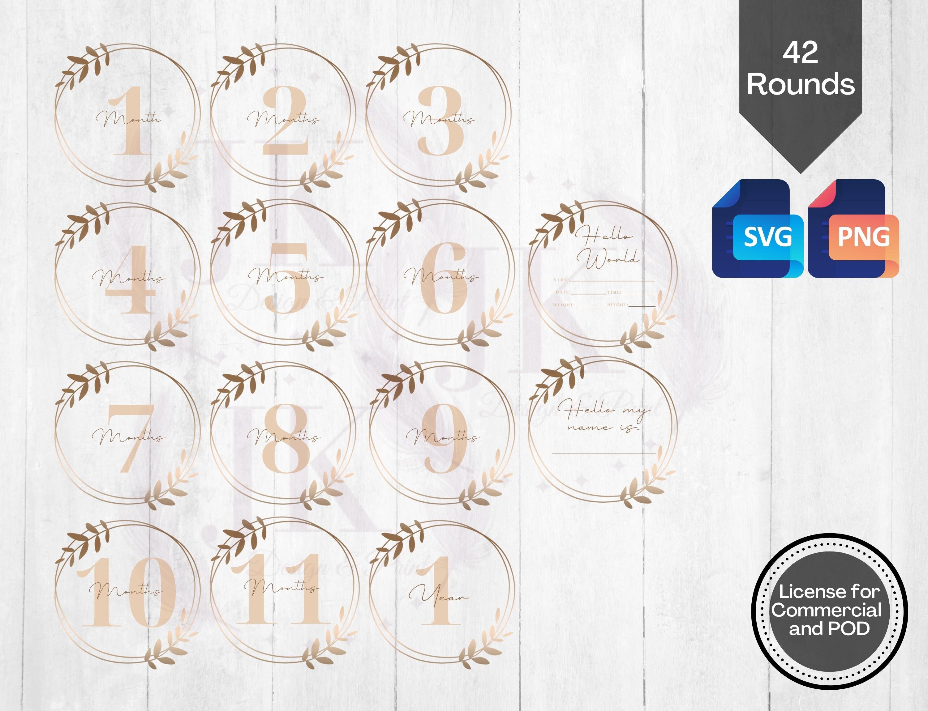 Baby Milestone Rounds SVG, Baby Announcement PNG, Hello World SVG ...