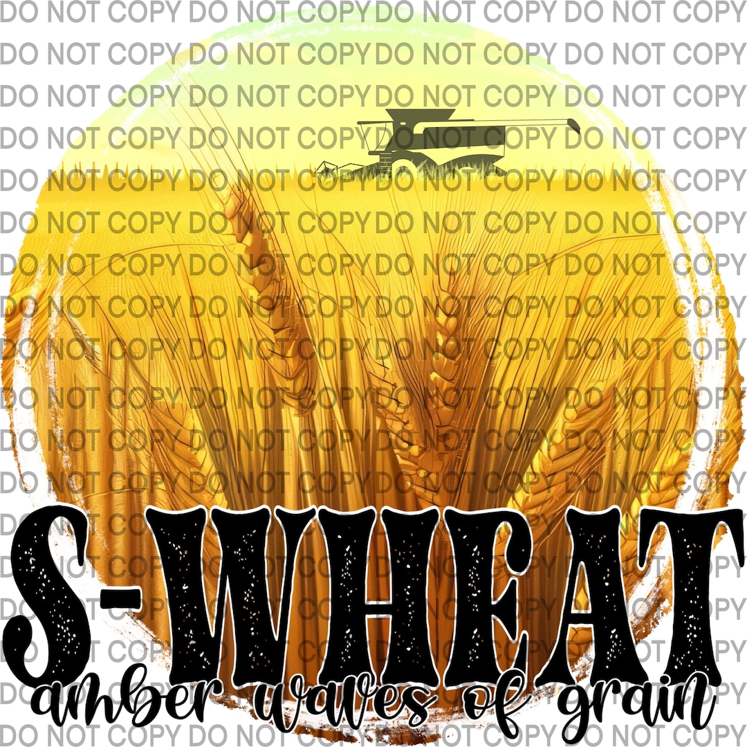 S-wheat Amber Waves of Grain PNG - Etsy