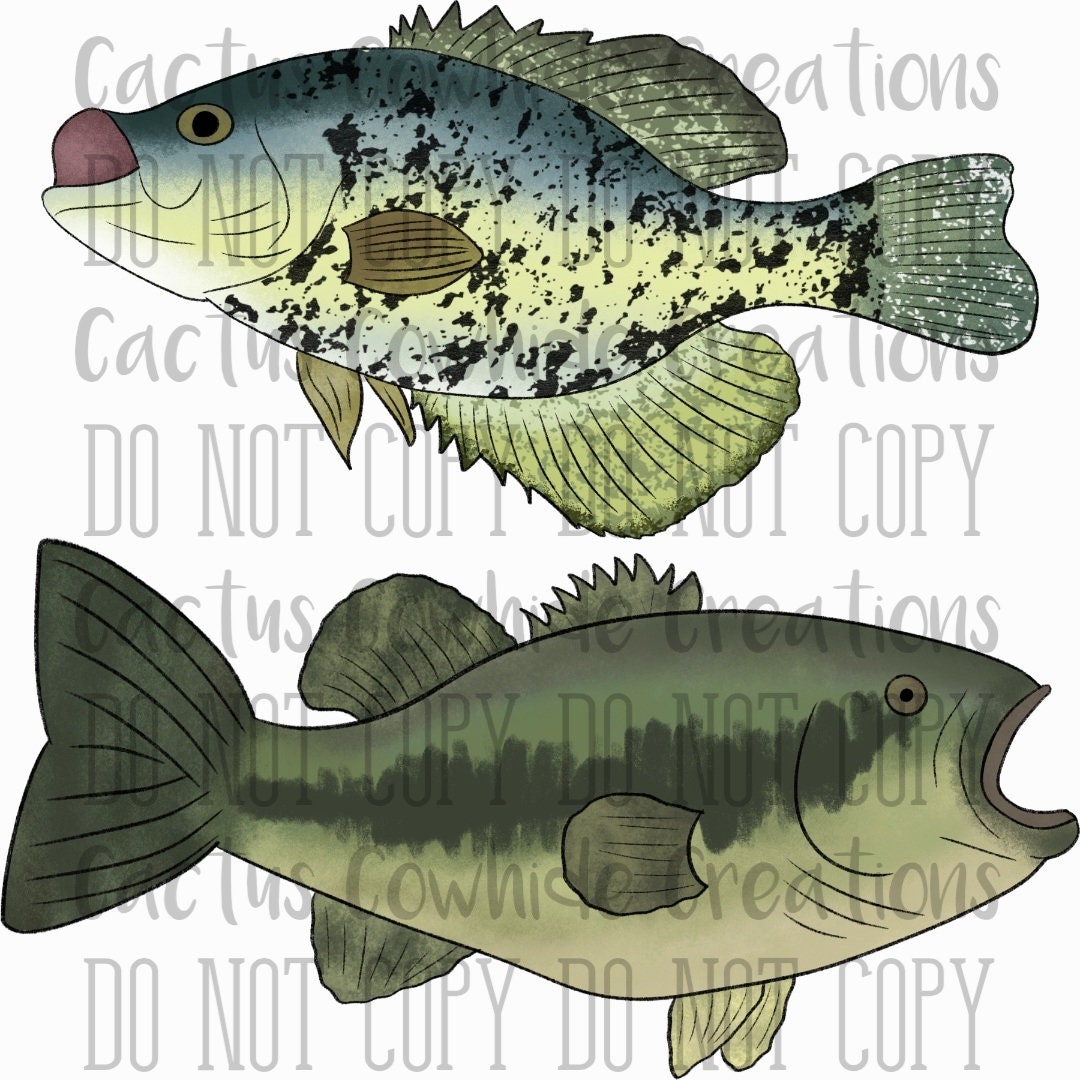 Freshwater Fish Elements Cliparts (commerical Use) - Etsy