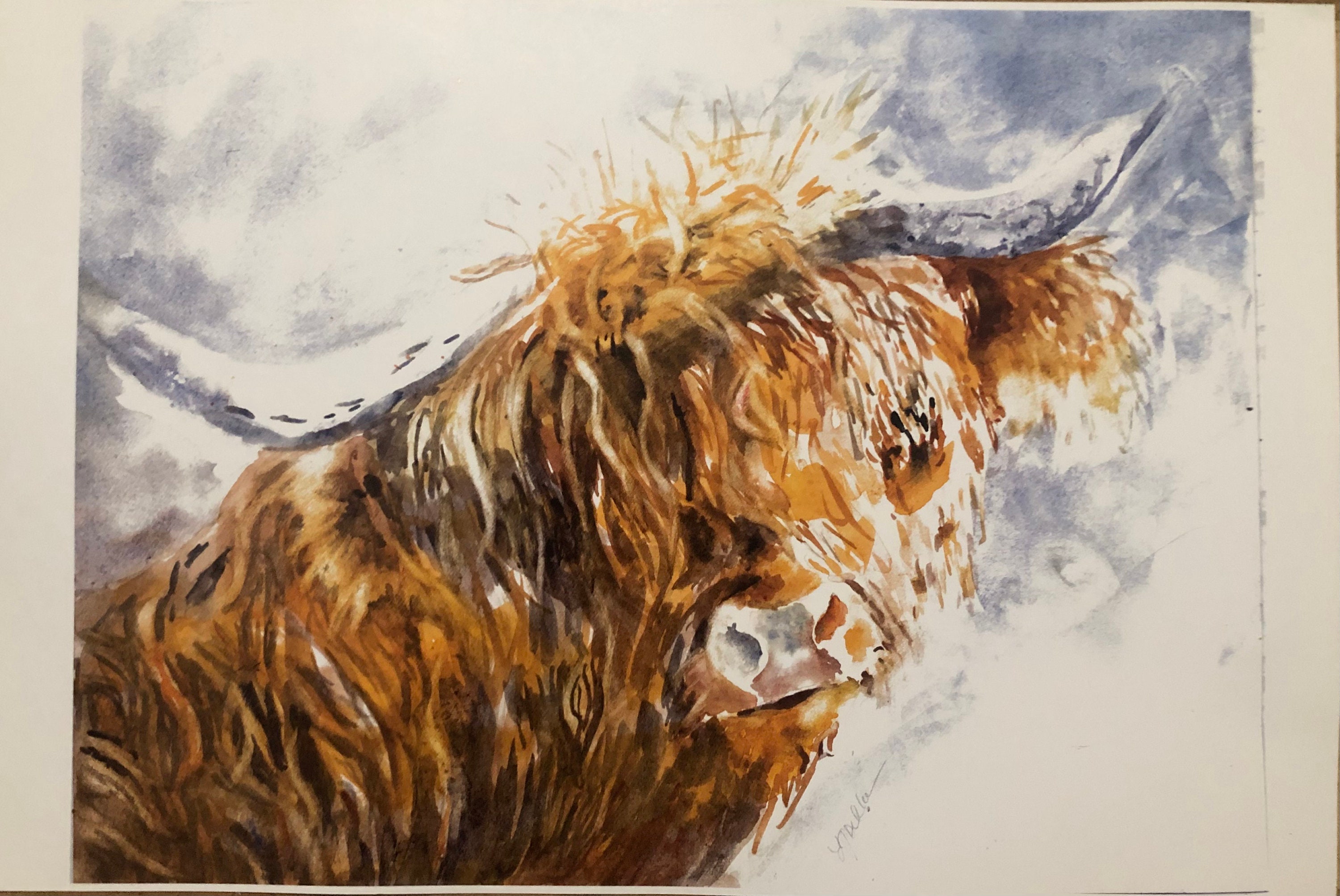 Highland Cow Watercolor Print - Etsy