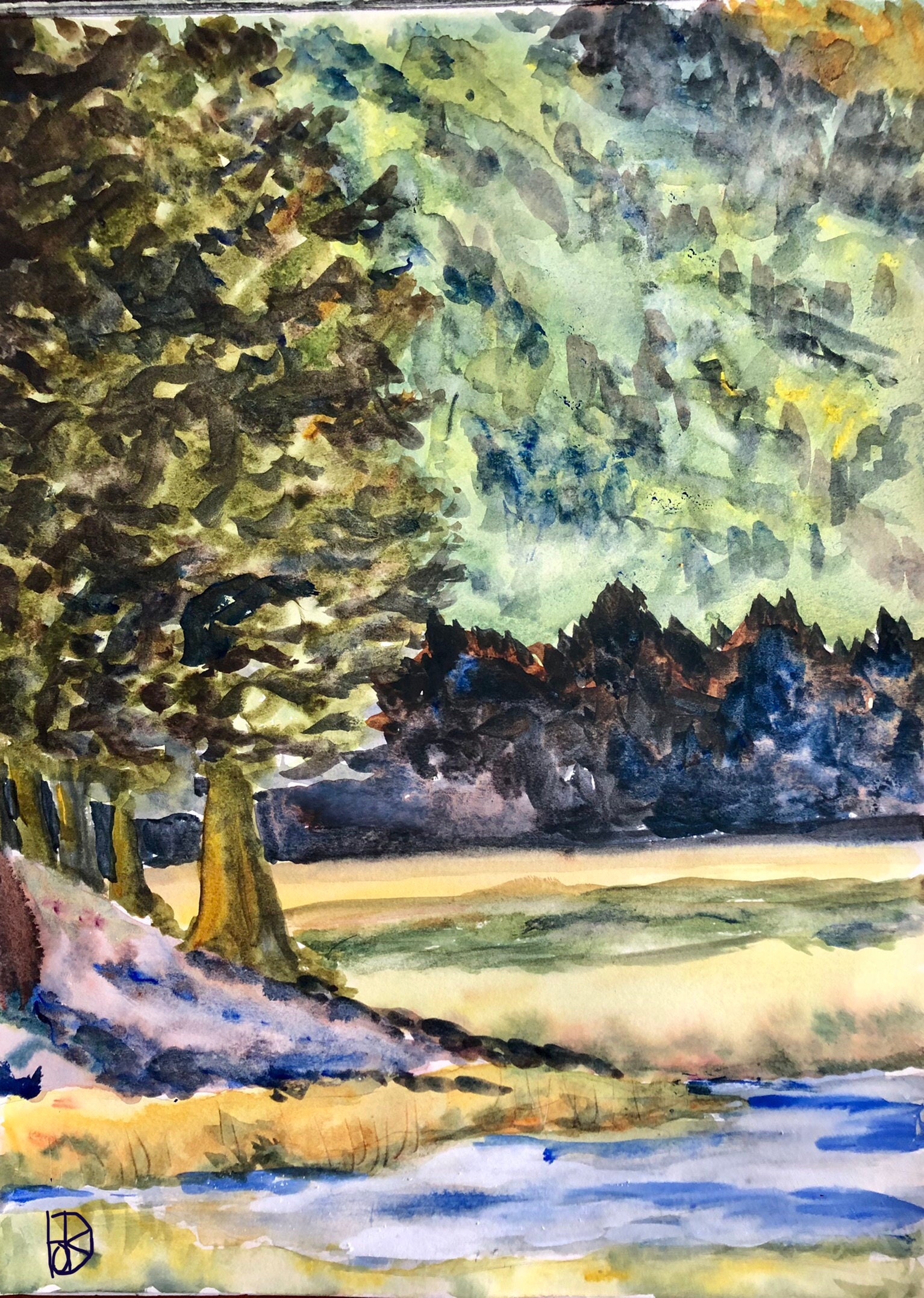 Landscape of Mountain Meadow With Stream- Watercolor Original 9x12" - Etsy