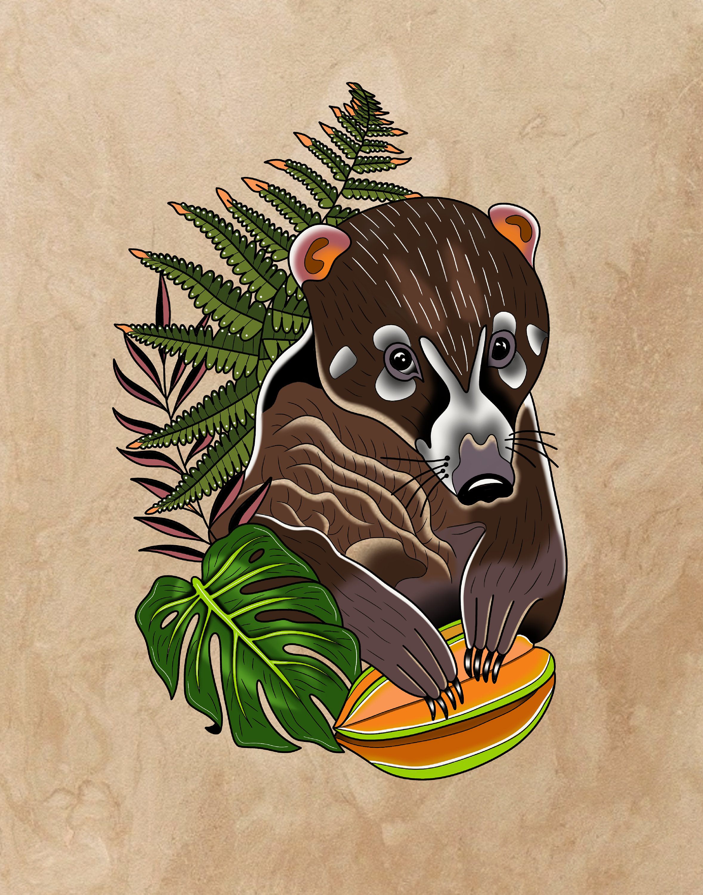 Costa Rican Coati Print / Tattoo Flash Art by Jessi Taylor / 11”x14 ...