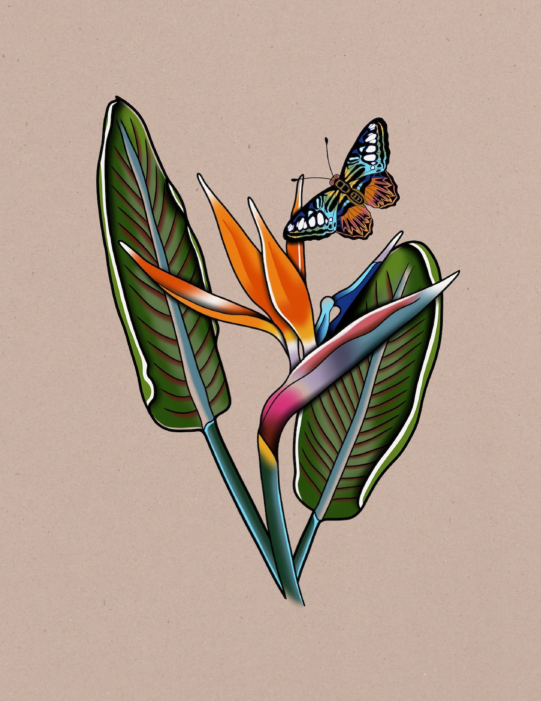 Bird of Paradise Print / Tattoo Flash Art by Jessi Taylor / 11”x14 ...
