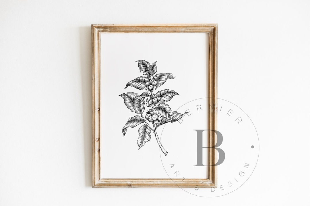 Coffee Plant Art Print, Coffee Botanical Print, Coffee Bar Art, Coffee ...