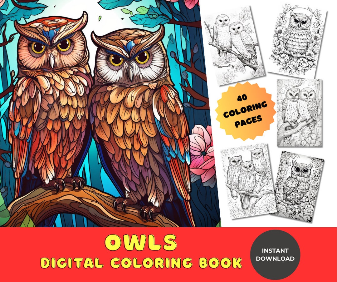 Whimsical Owls Coloring Book - Fun for All Ages! 40 Pages - Instant ...