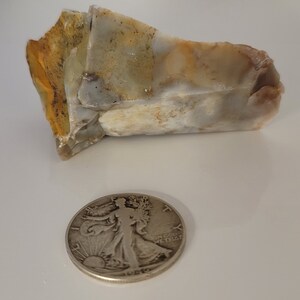 Rough Flint Ridge Stone of Chalcedony in a Wedge Shaped Palm - Etsy
