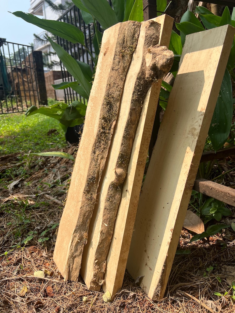 Coffee Tree Wood - Coffee Beans Dozing Cup, Dozing Bowl Made From 100 ...