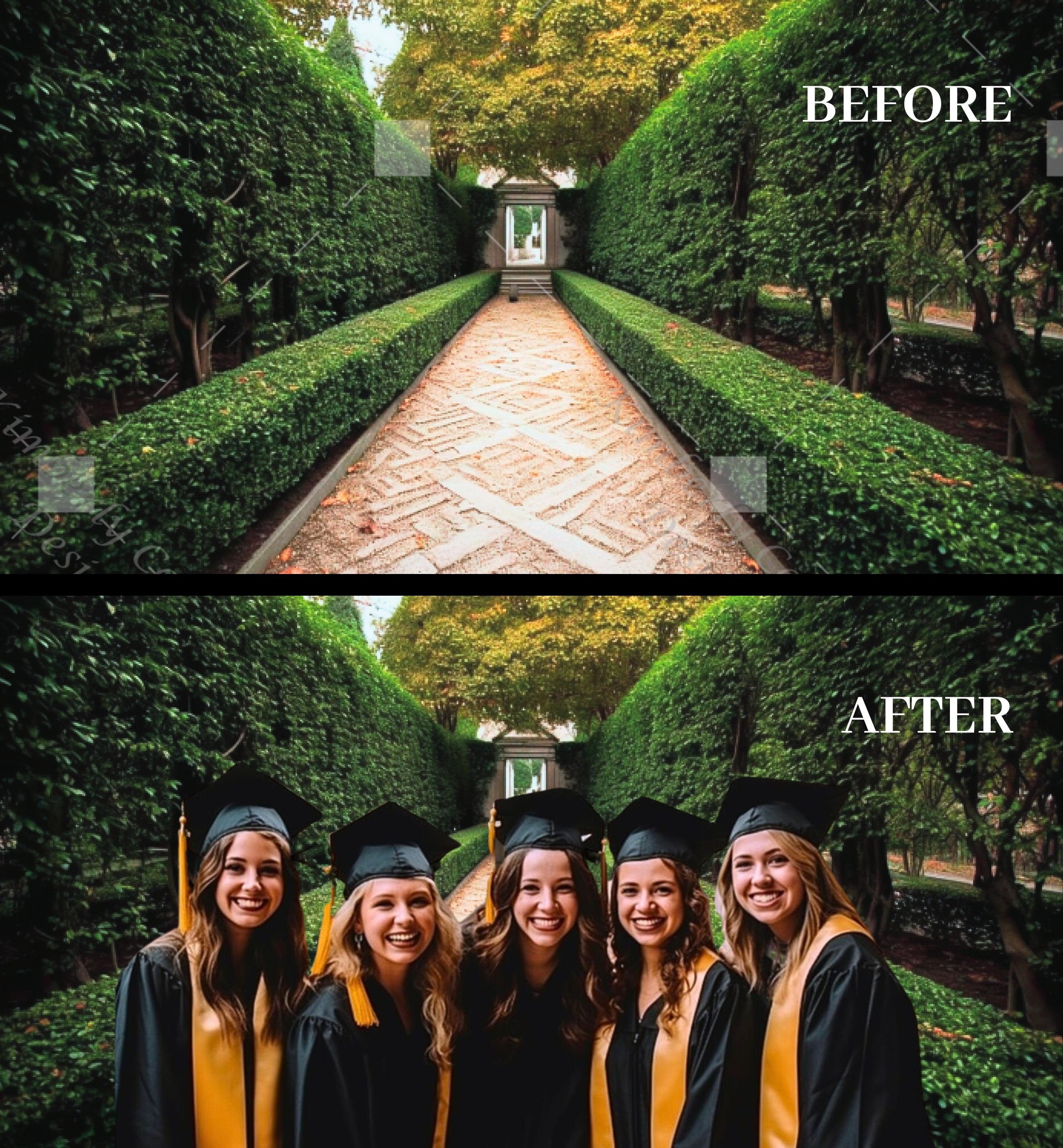 Greenery Walkway Digital Background, Backdrop Overlays, Photography ...