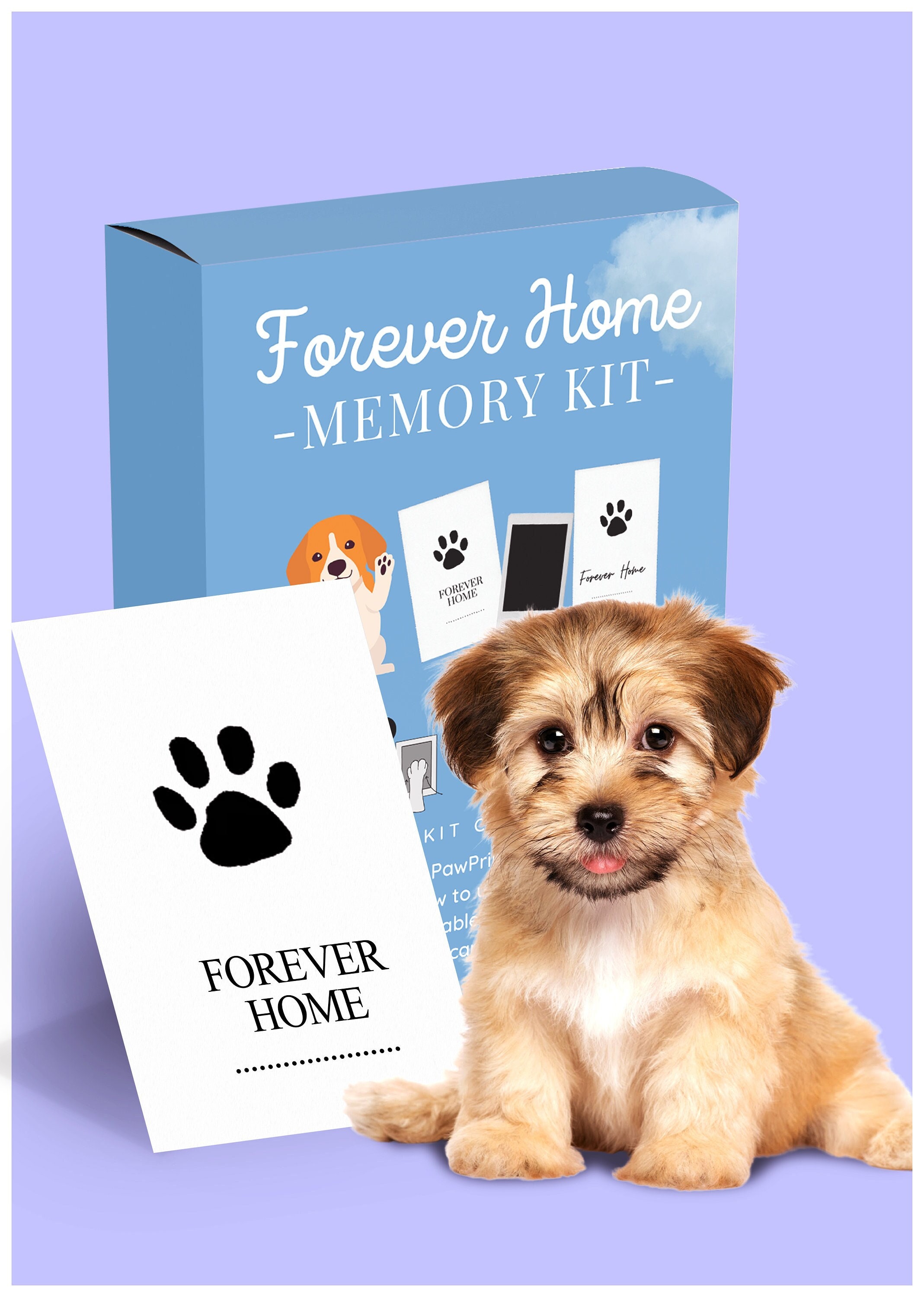 Forever Home Paw Print Kit: Paw Print Stamp & Forever Home Cards. New ...