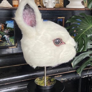 Rabbit From the Series misfits 58-62 Size - Etsy