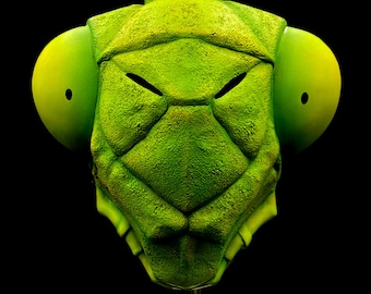 Preying Mantis Mask Insect Mask Mask Cosplay Bugpaper - Etsy