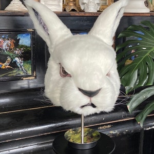 Rabbit From the Series misfits 58-62 Size - Etsy