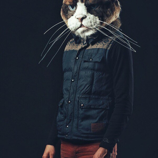 Grumpy Cat Mask - Etsy