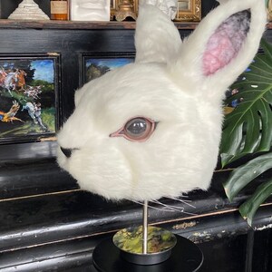 Rabbit From the Series misfits 58-62 Size - Etsy