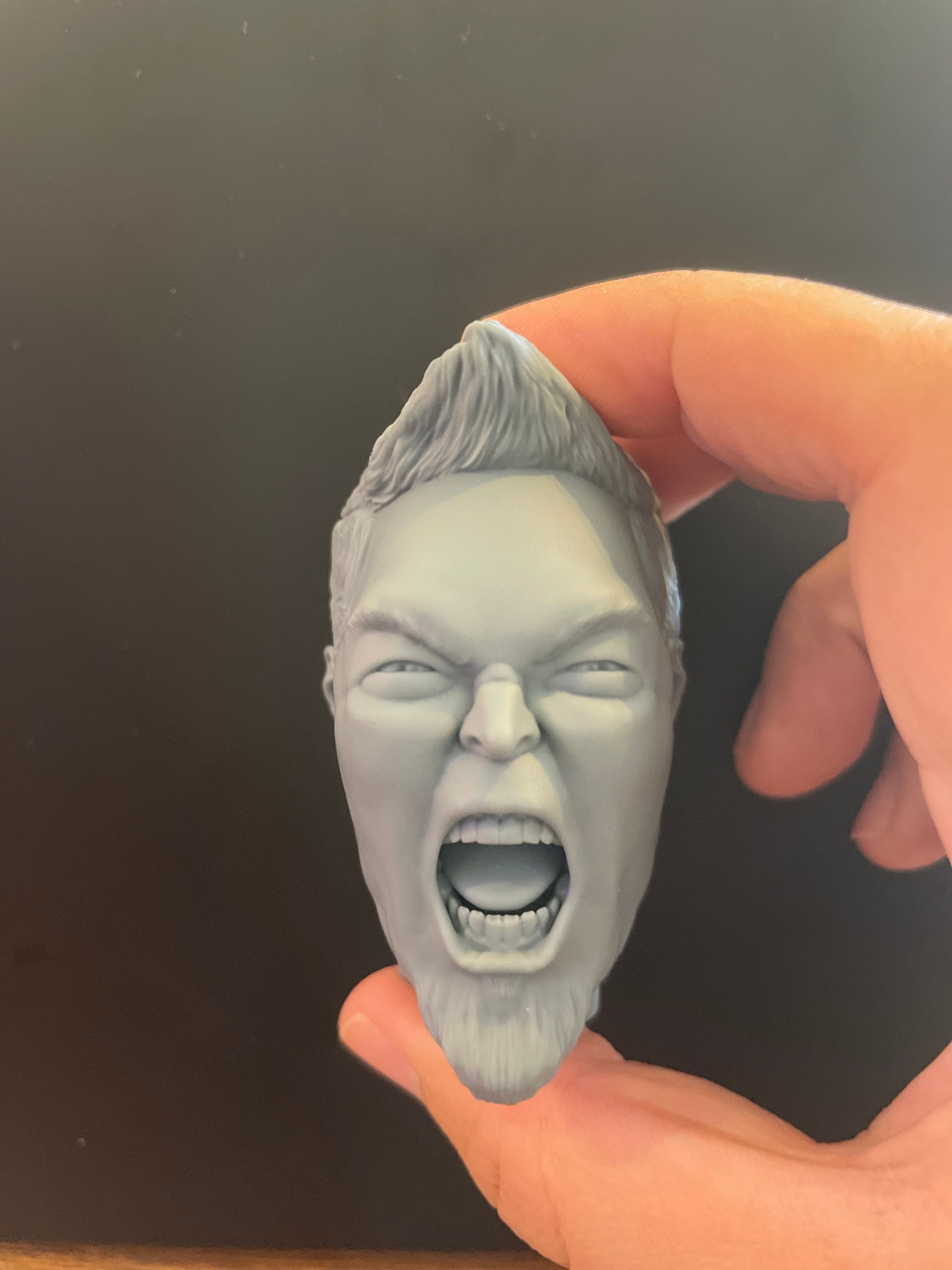 Metal Head Rocker Head Sculpt 1/4 Scale not 1/12 3d Printed - Etsy