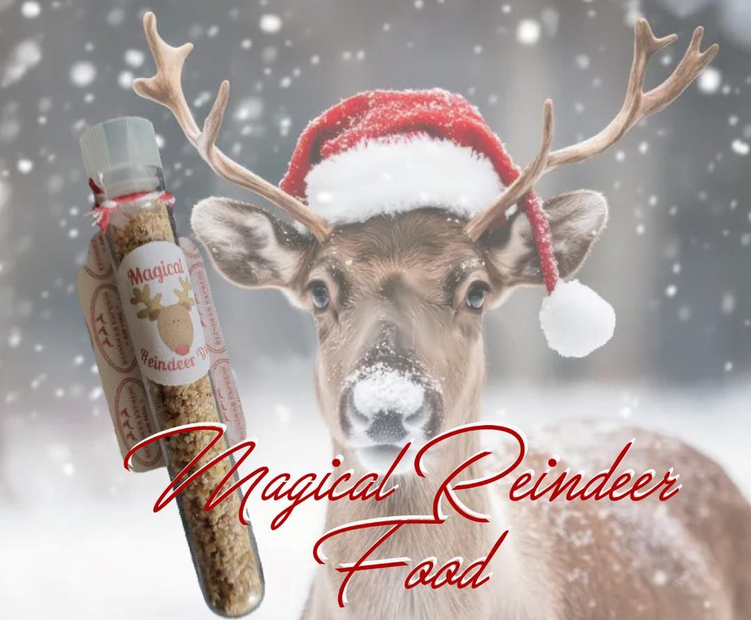 Magical Reindeer Food Christmas Eve Box Children Biodegradable Wildlife ...
